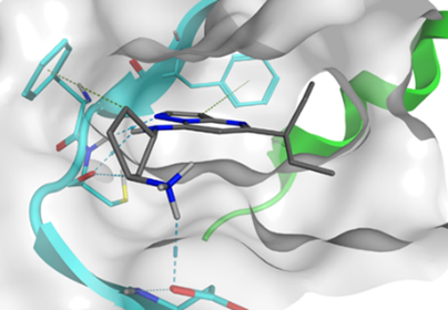 CCG | MedChem by Design 2024 | Agenda